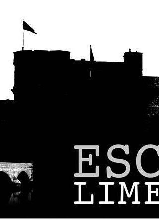 Limerick Attractions | Breaks In Limerick| Limerick Strand Hotel